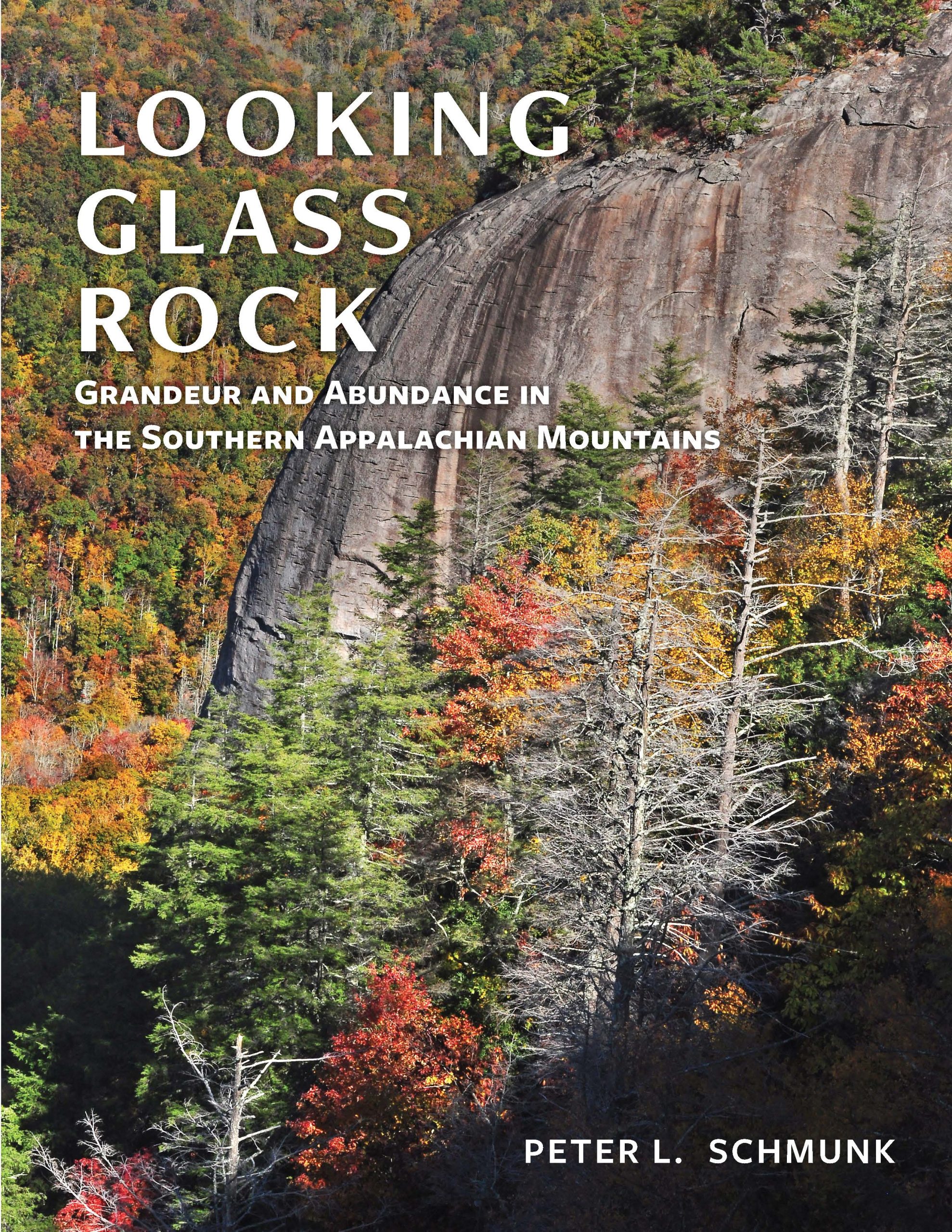 Books – Clemson University Press